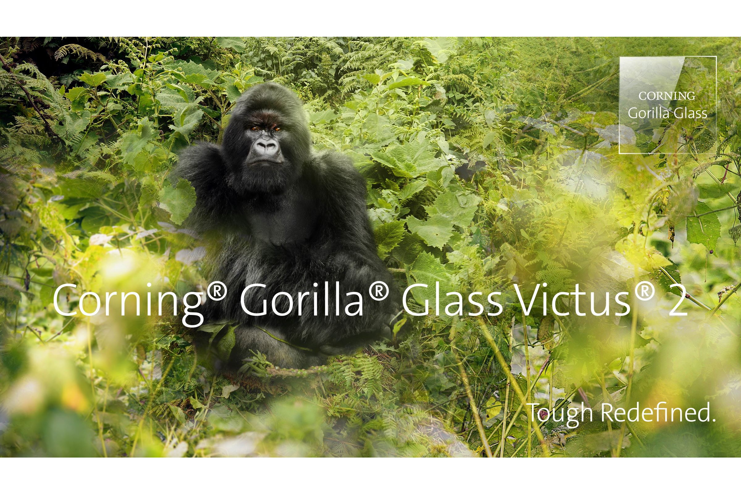 top – Post76玩樂網